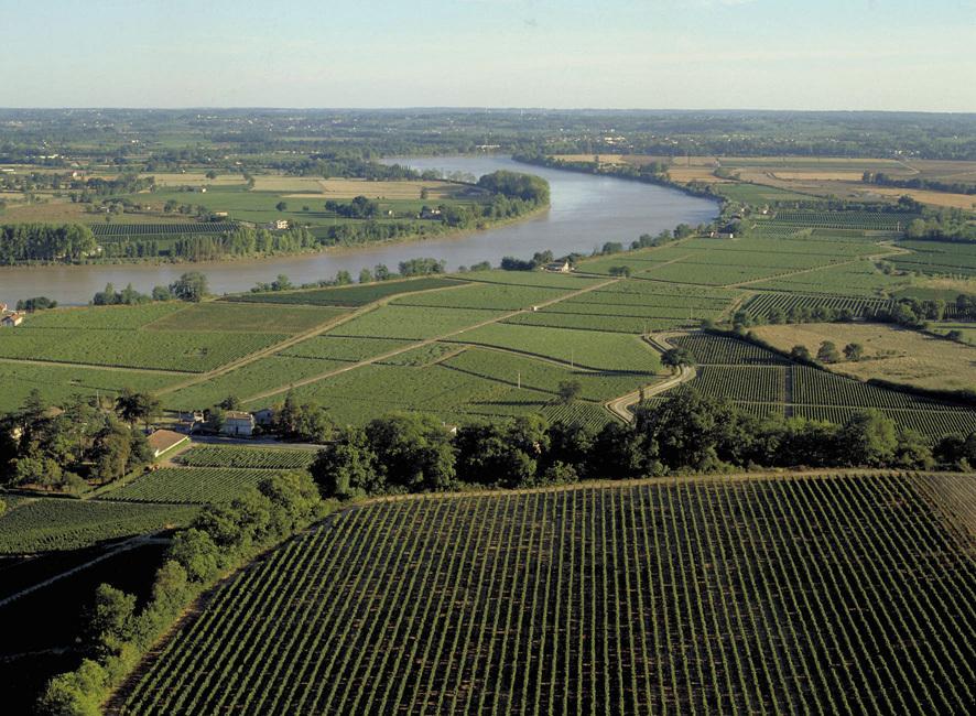 Journée oeno-découverte | Coffret cadeau en région Région , Saint ...